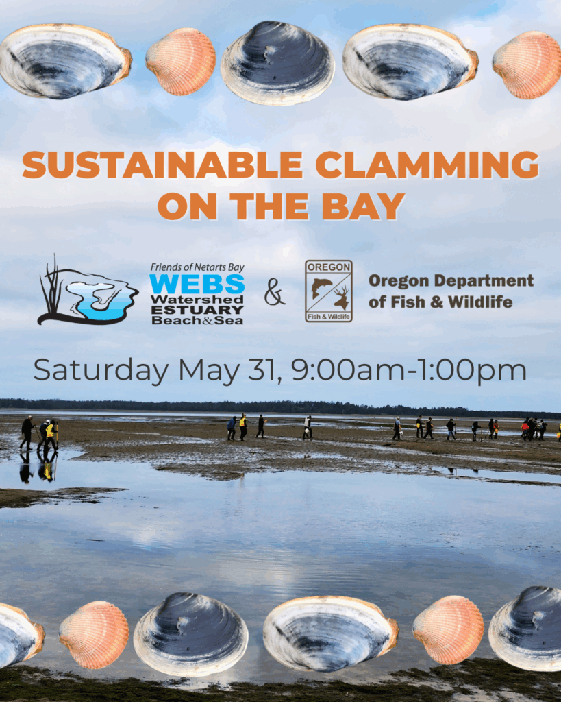 Sustainable Clamming on Netarts Bay - Tillamook Chamber of Commerce
